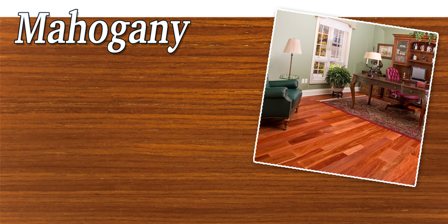 Choosing the Perfect Wood for Your Home