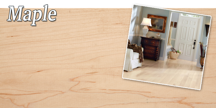 Choosing the Perfect Wood for Your Home